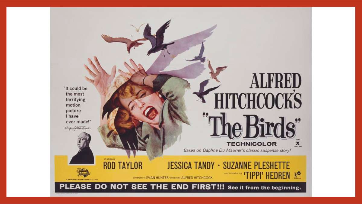 Alfred Hitchcock klassieker The Birds krijgt remake